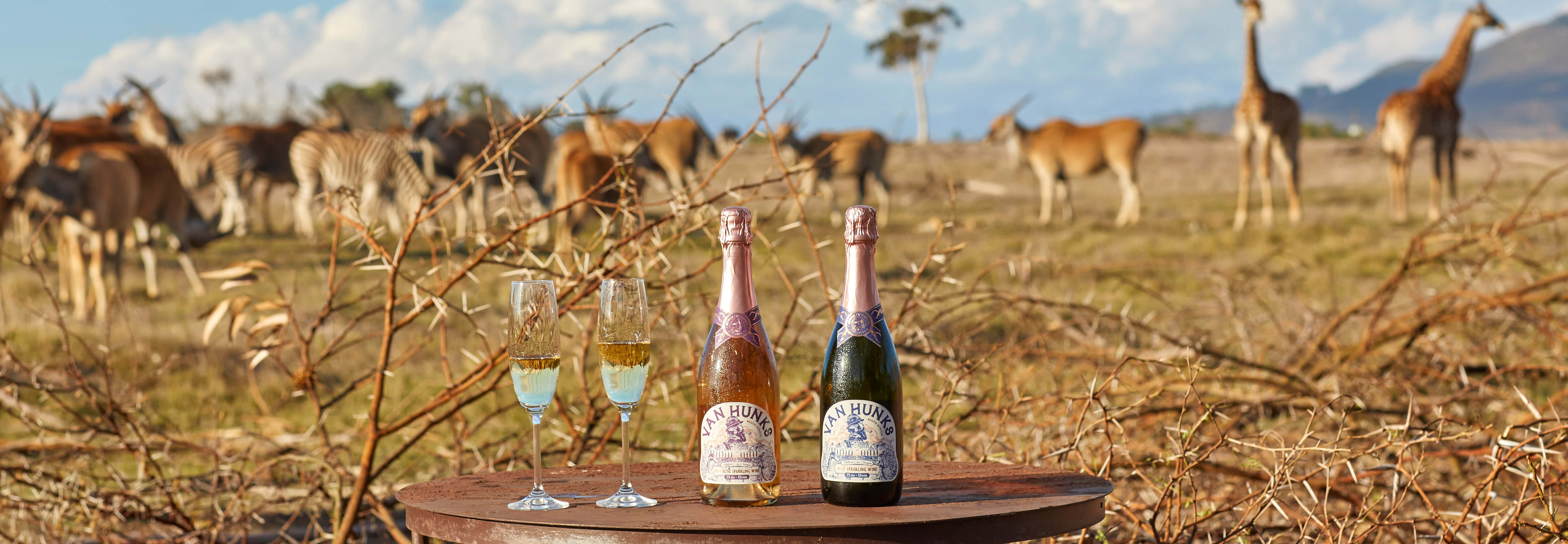 About – vanhunksdrinks