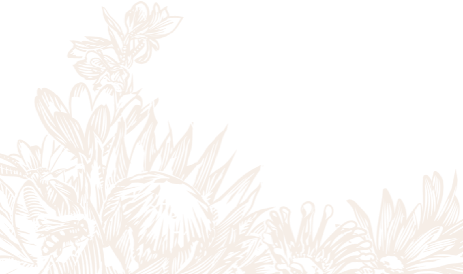 Van Hunks - The Original Sparkling Wine from Cape Town – vanhunksdrinks